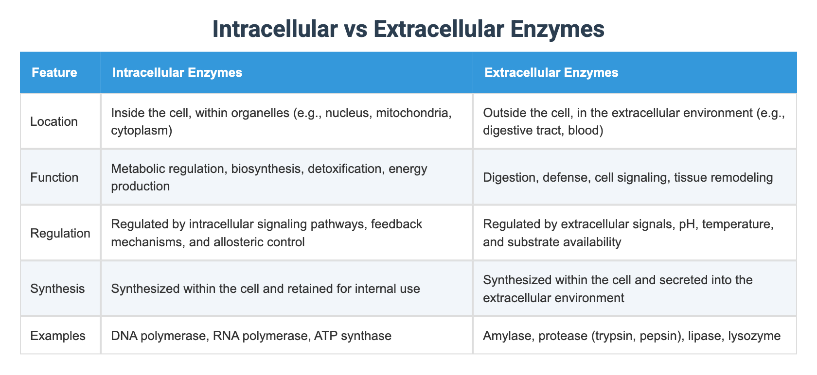 Intracellular vs Extracellular Enzymes