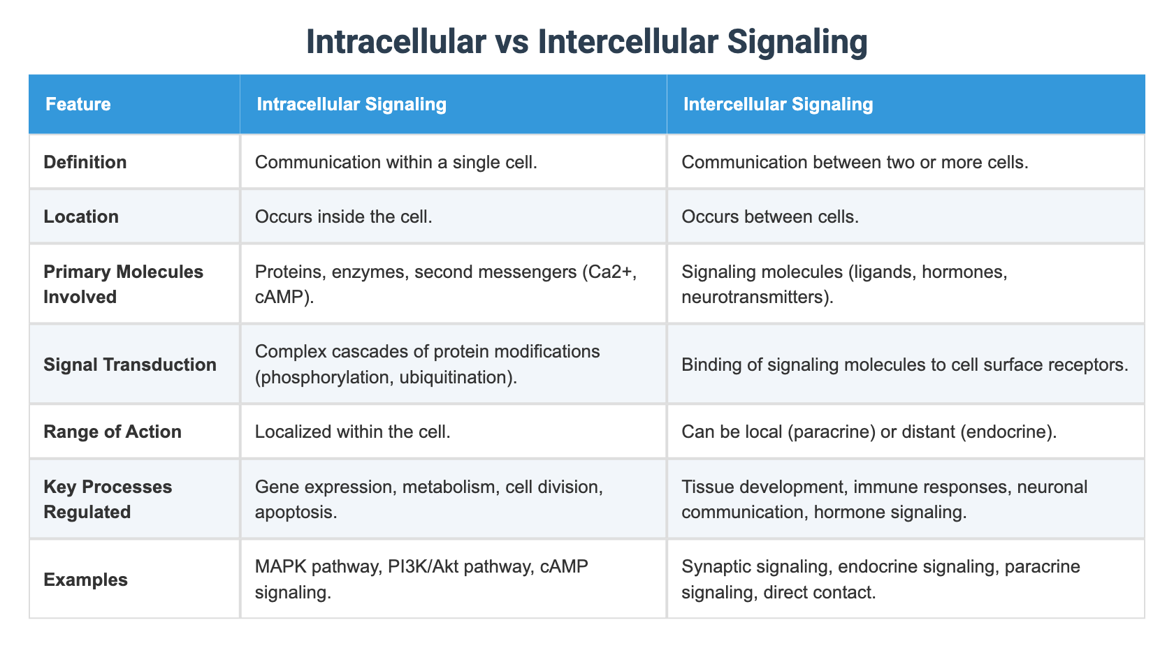 Intracellular vs Intercellular Signaling