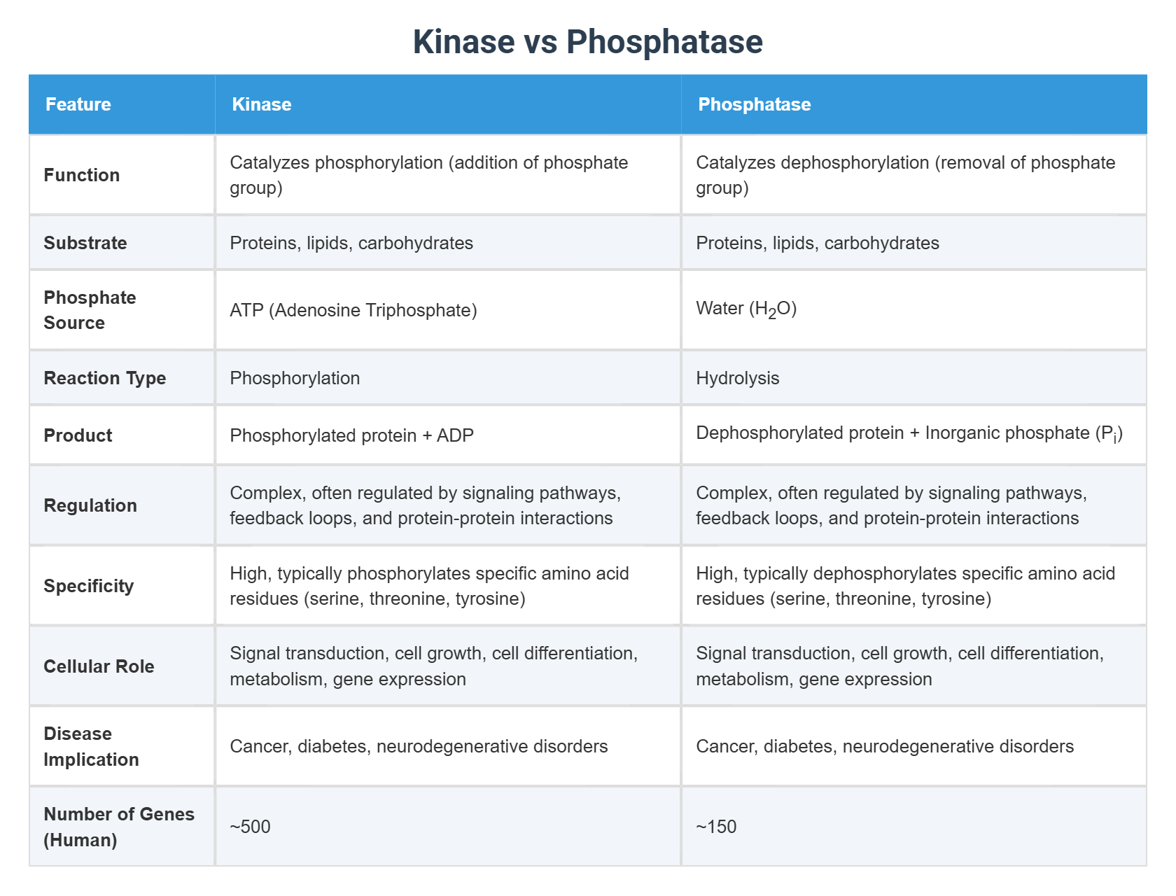 Kinase vs Phosphatase