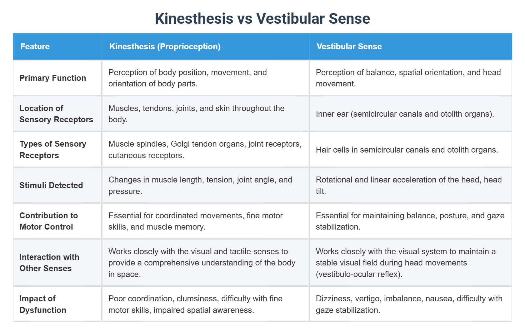 Kinesthesis vs Vestibular Sense