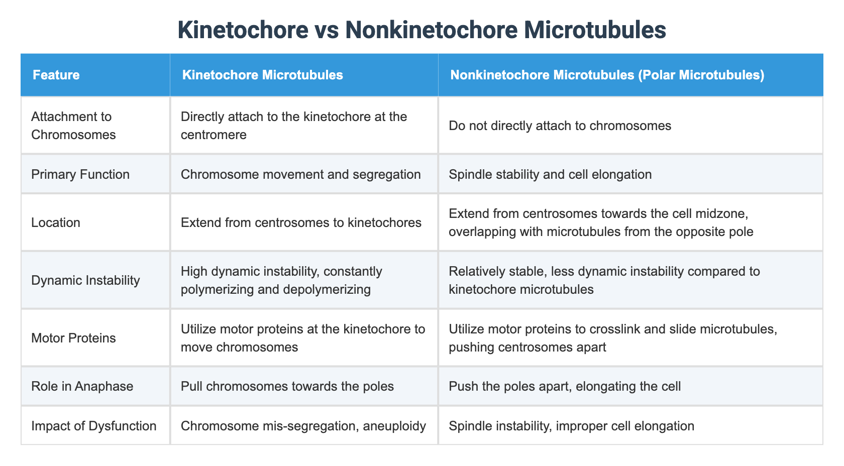Kinetochore vs Nonkinetochore Microtubules