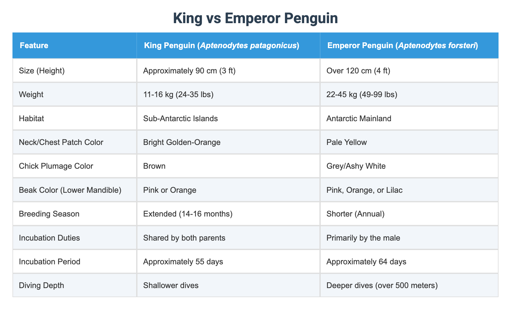 King vs Emperor Penguin