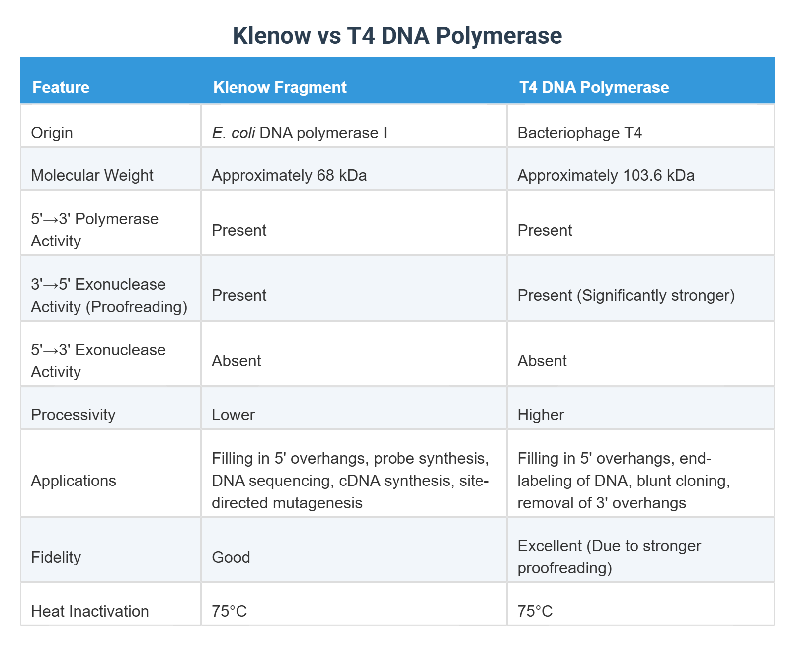 Klenow vs T4 DNA Polymerase