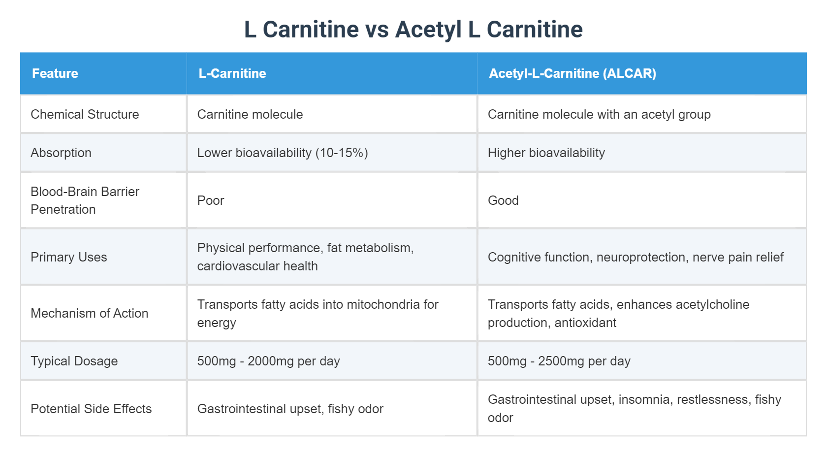 L Carnitine vs Acetyl L Carnitine