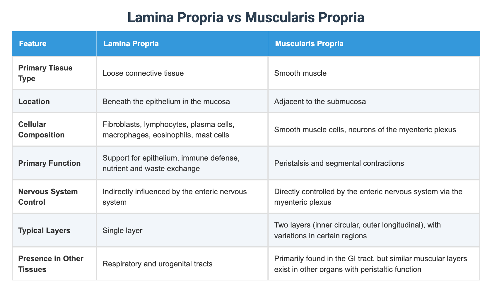 Lamina Propria vs Muscularis Propria