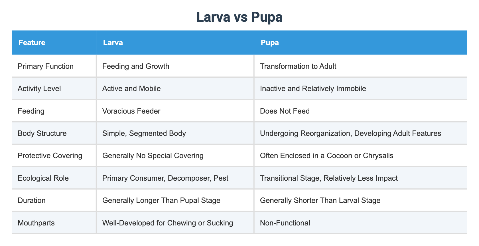 Larva vs Pupa