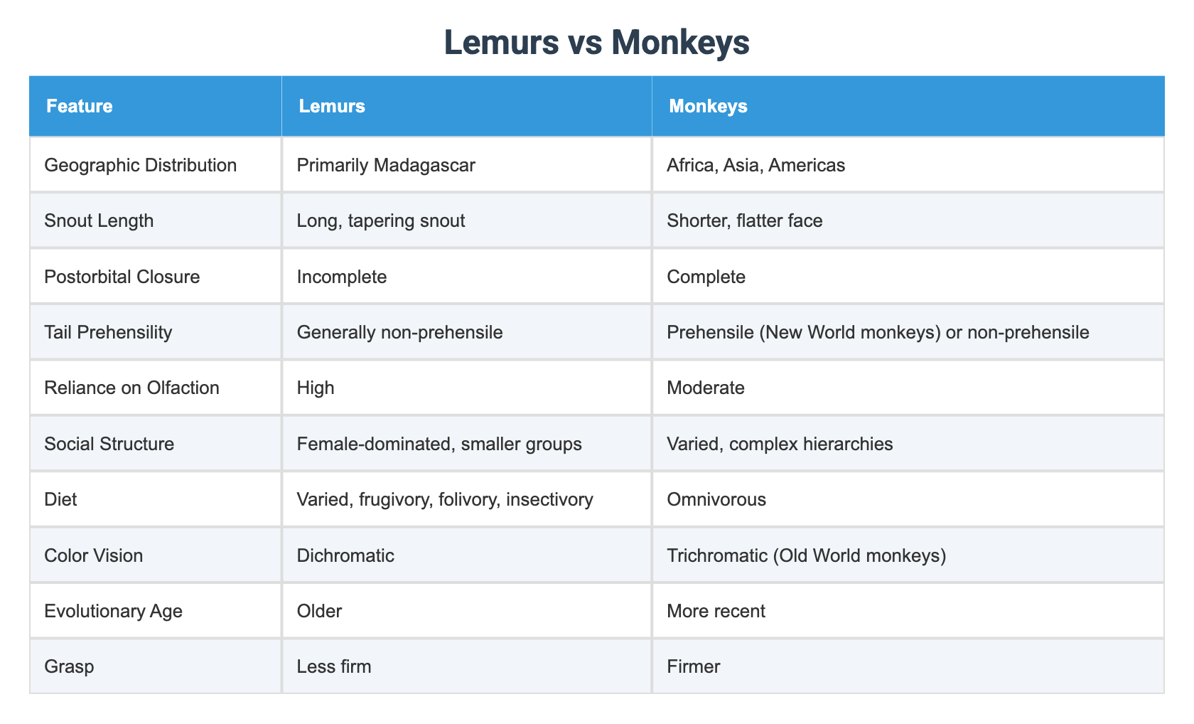 Lemurs vs Monkeys