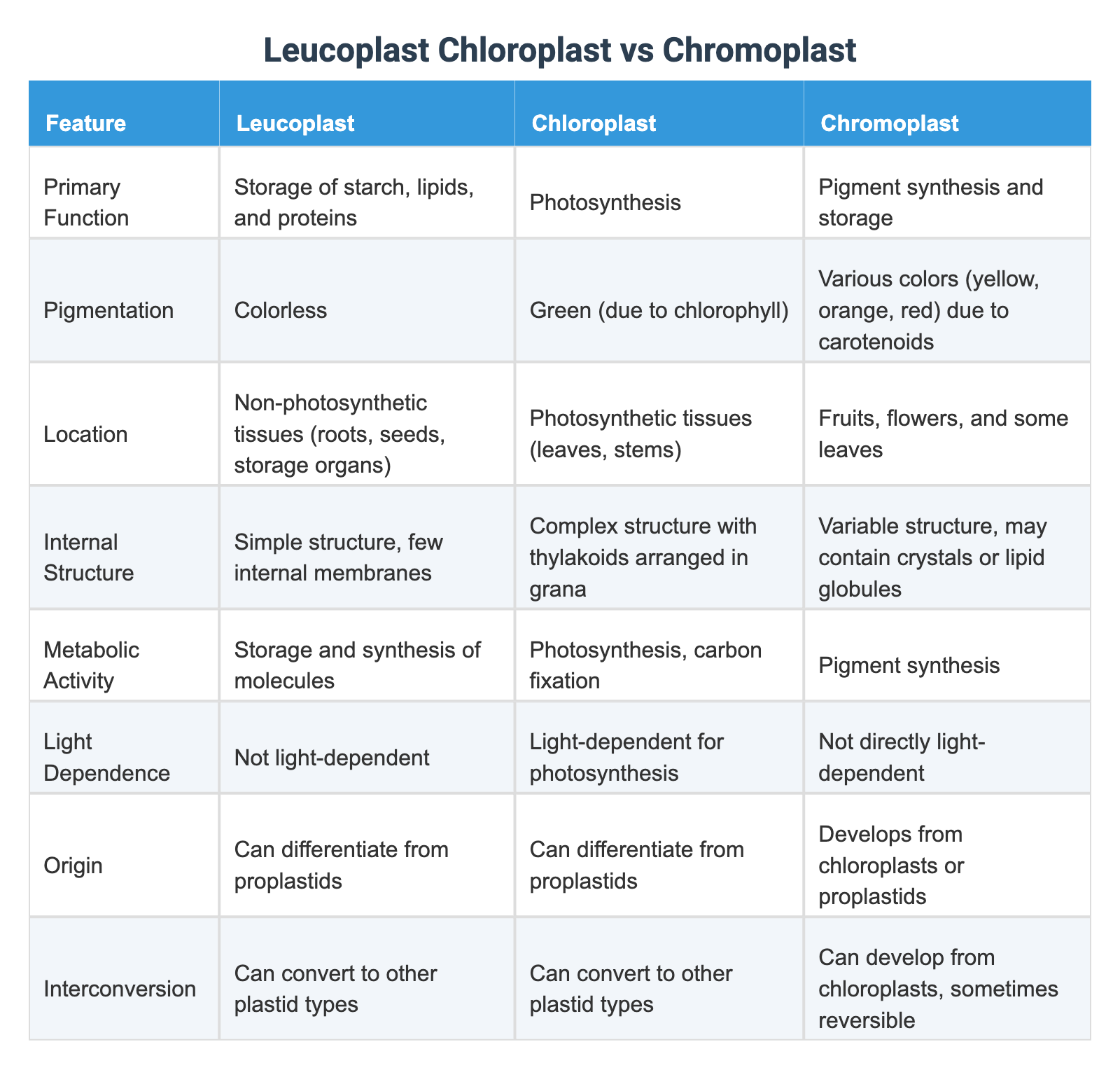 Leucoplast Chloroplast vs Chromoplast