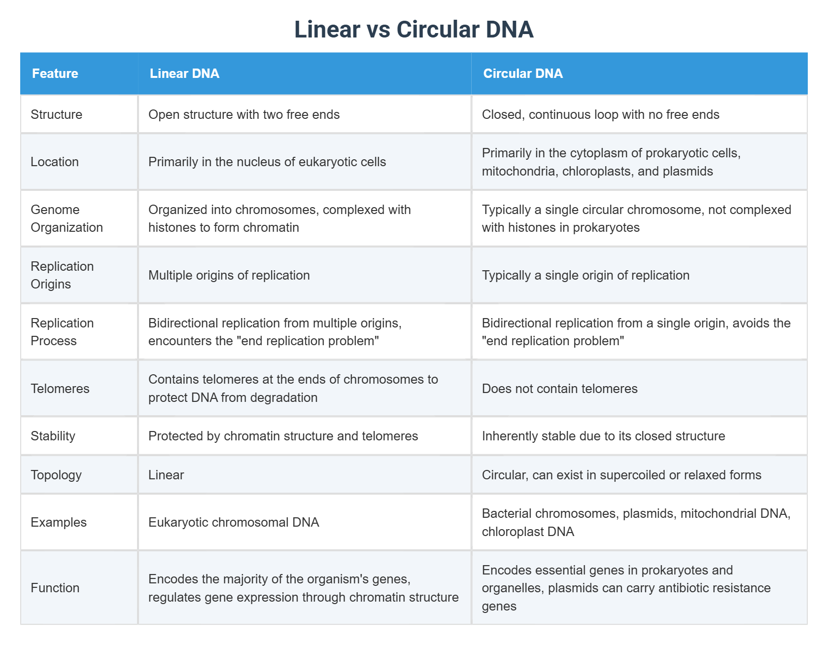 Linear vs Circular DNA