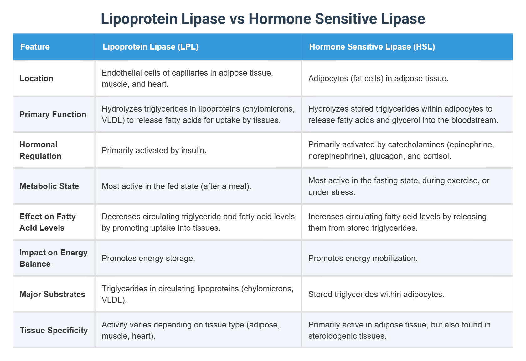 Lipoprotein Lipase vs Hormone Sensitive Lipase