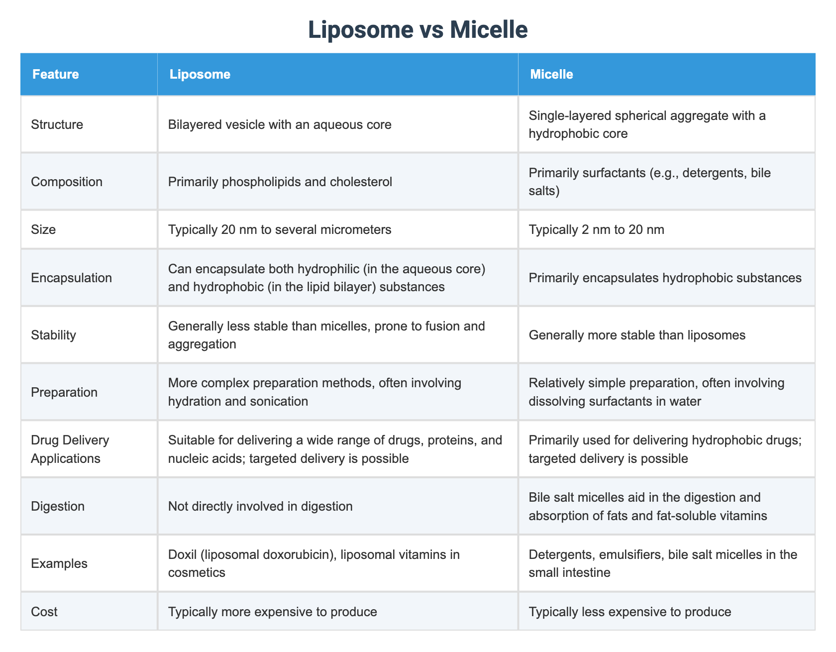 Liposome vs Micelle
