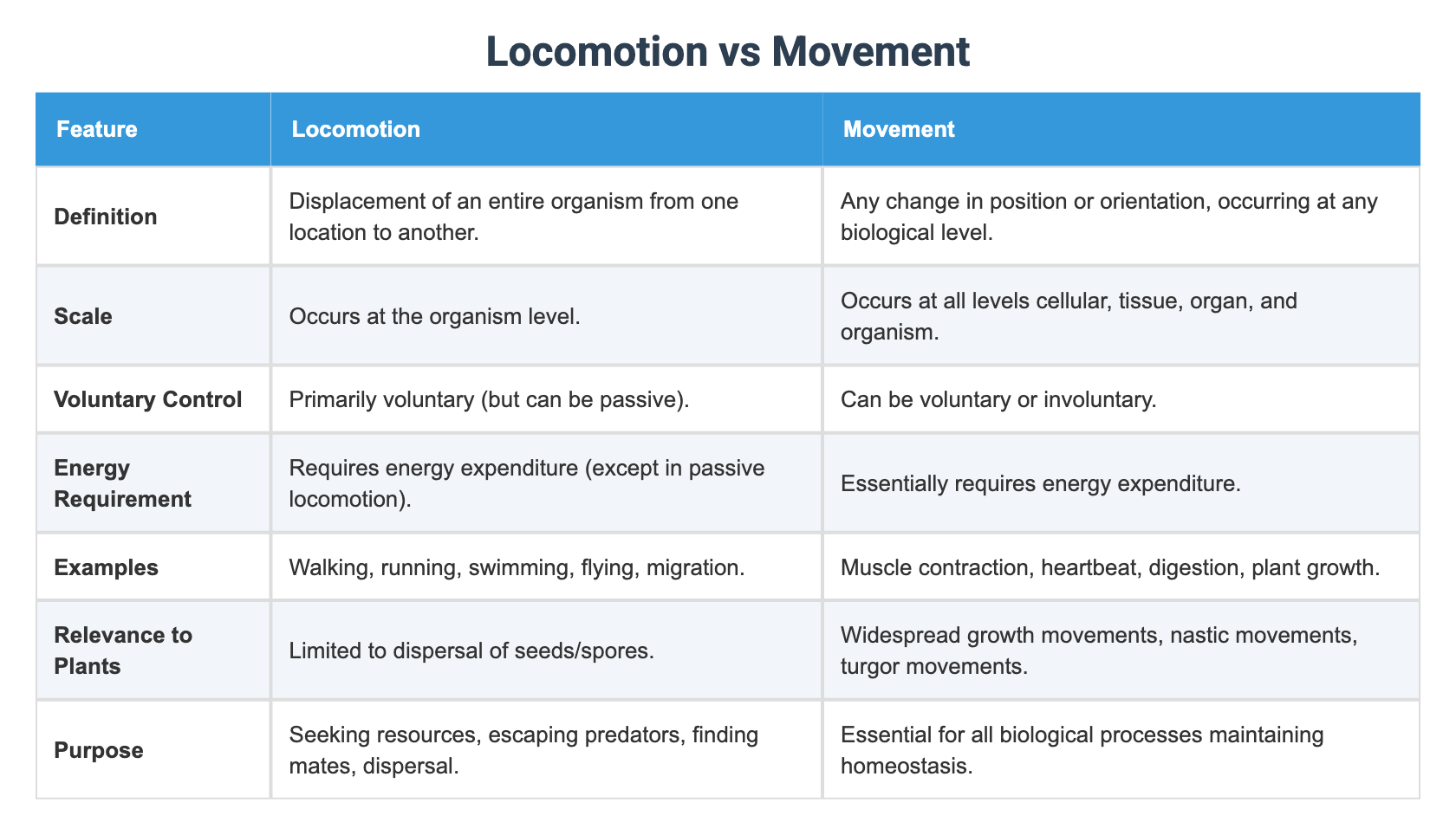 Locomotion vs Movement