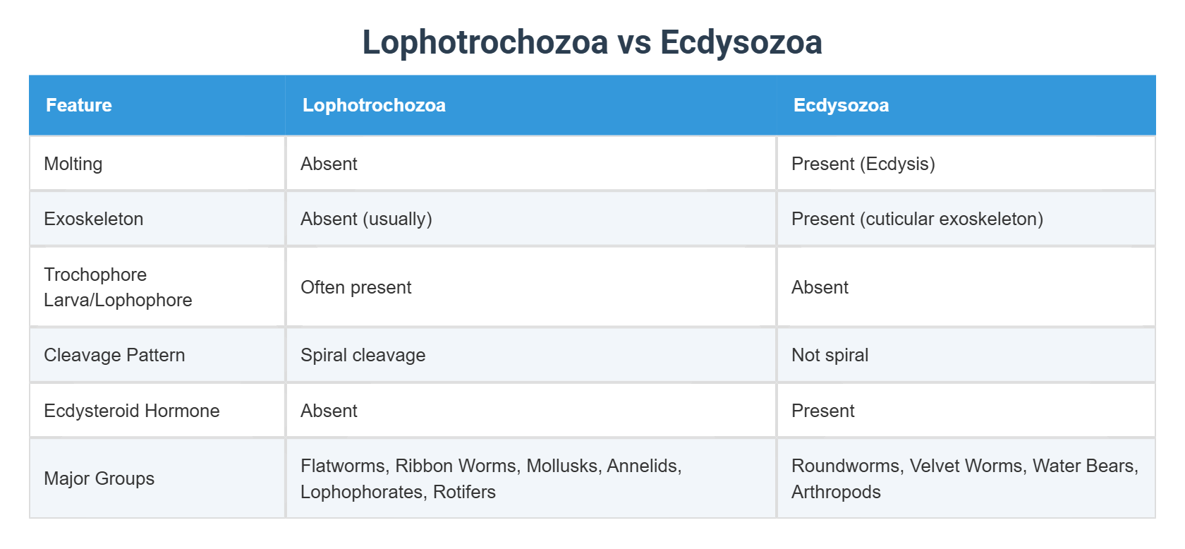 Lophotrochozoa vs Ecdysozoa