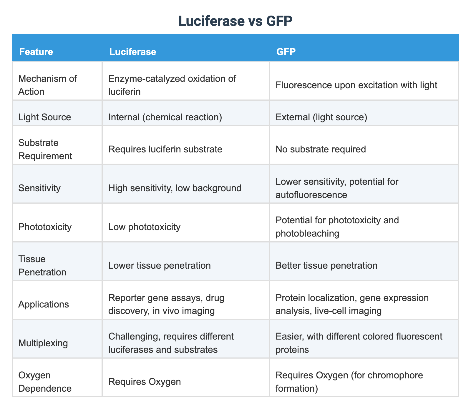 Luciferase vs GFP