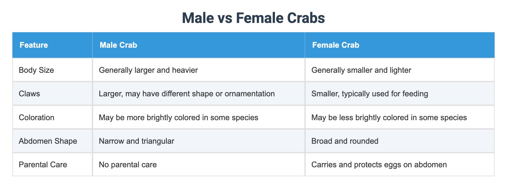 Male vs Female Crabs