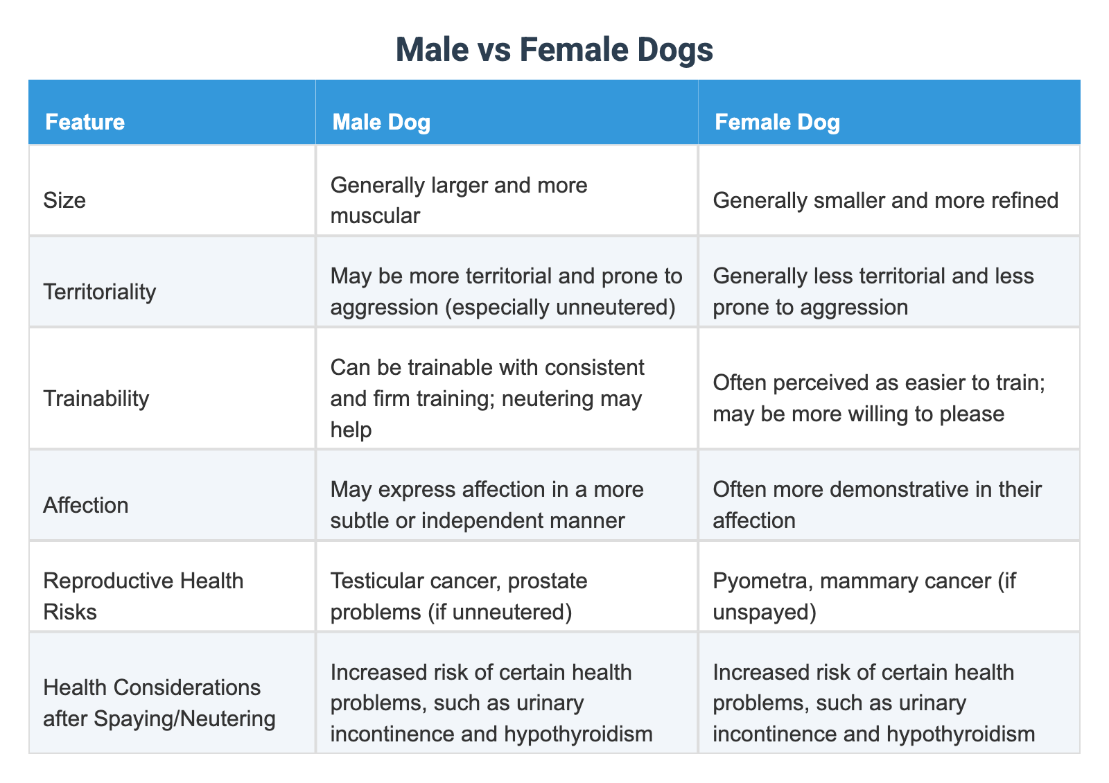 Male vs Female Dogs
