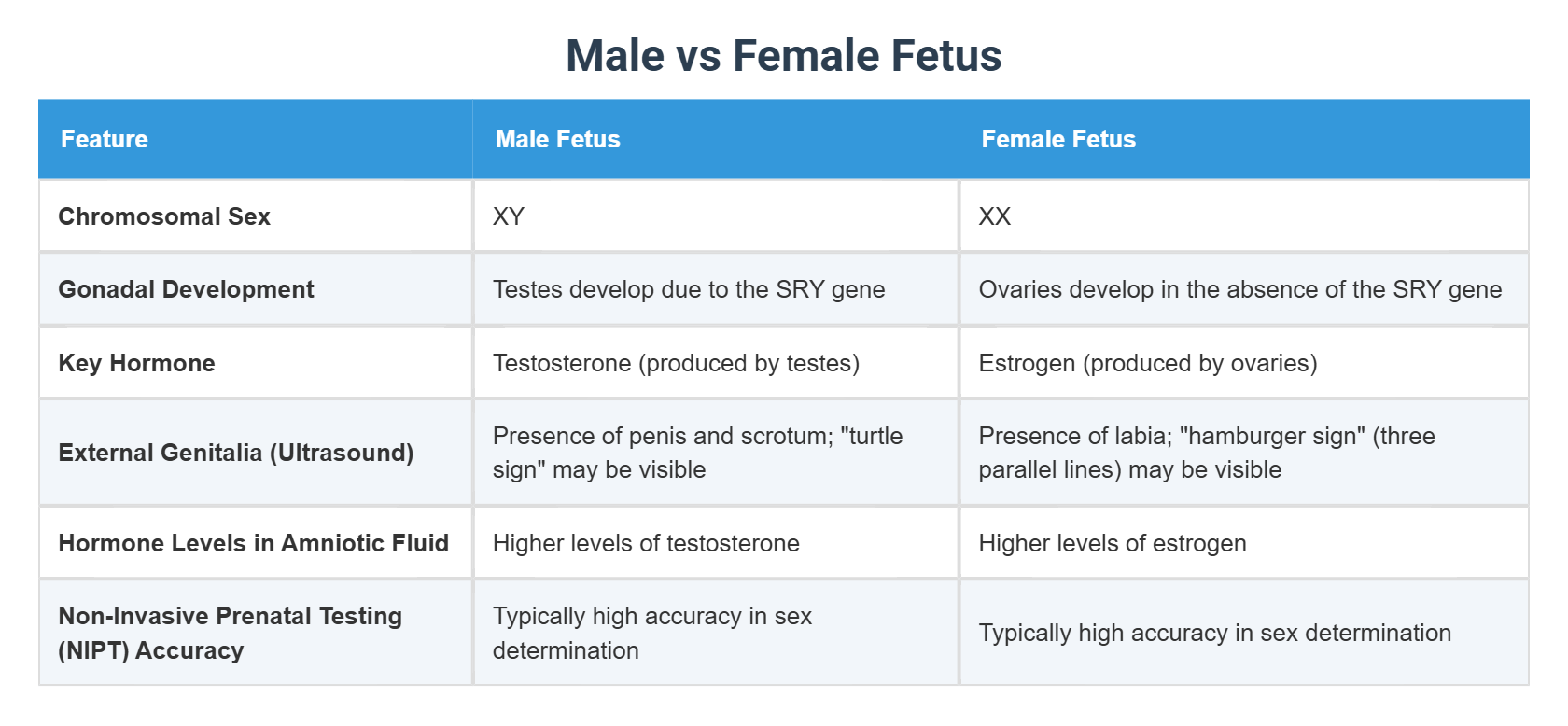 Male vs Female Fetus