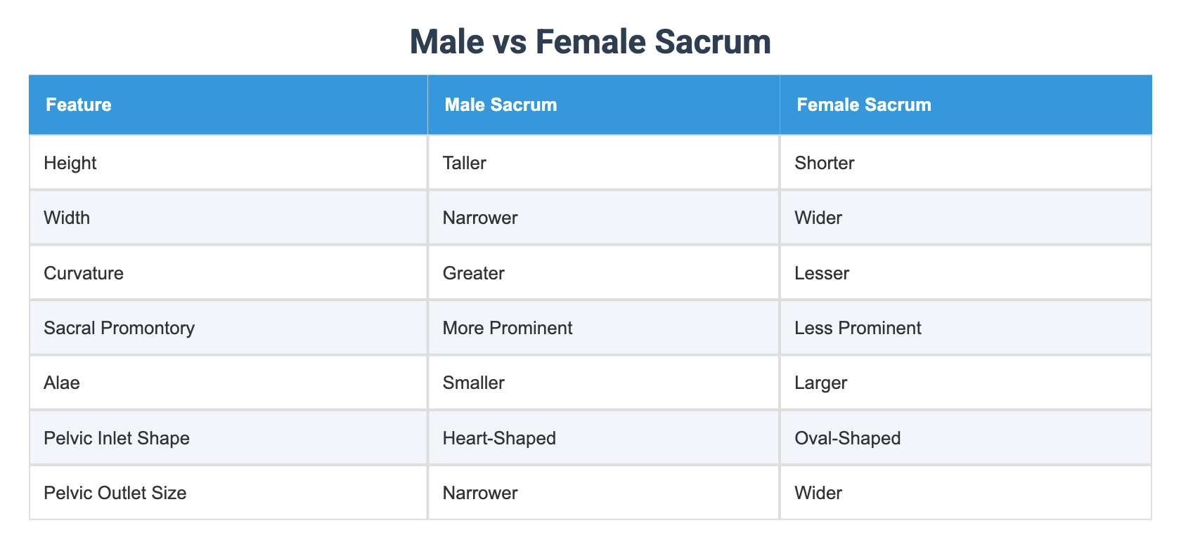 Male vs Female Sacrum