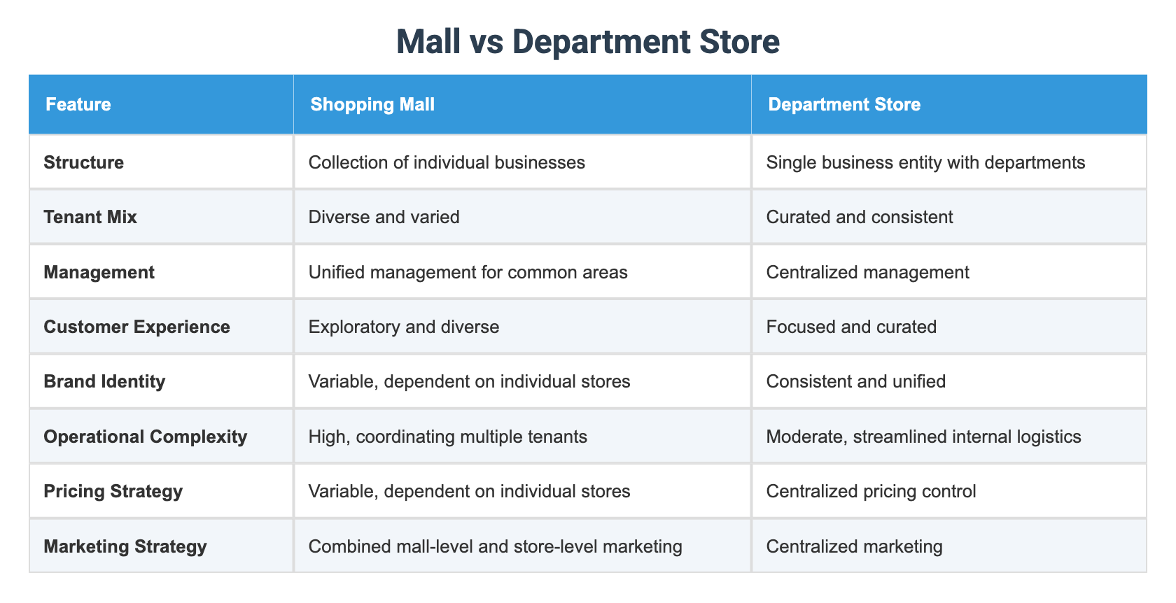 Mall vs Department Store