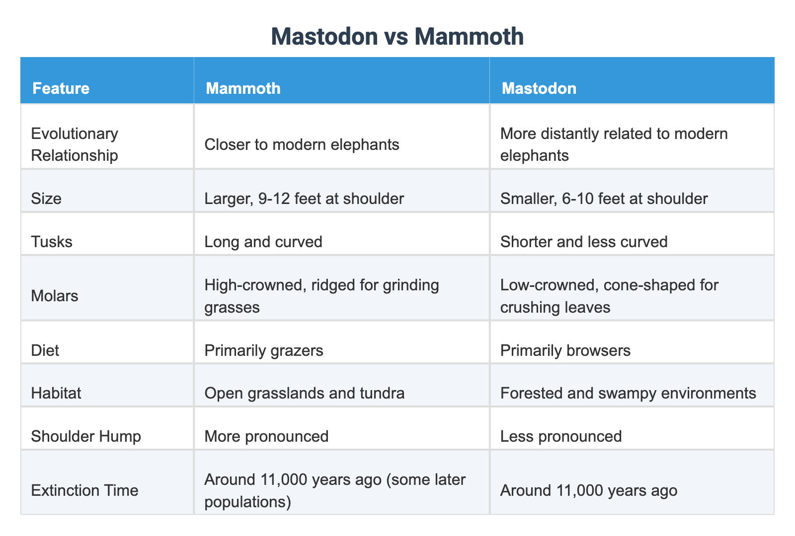 Mastodon vs Mammoth