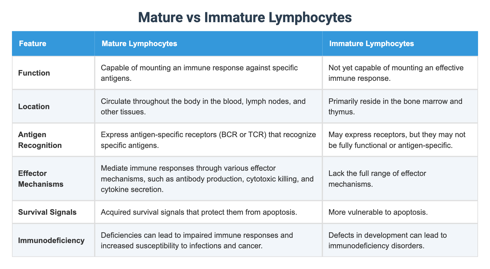 Mature vs Immature Lymphocytes