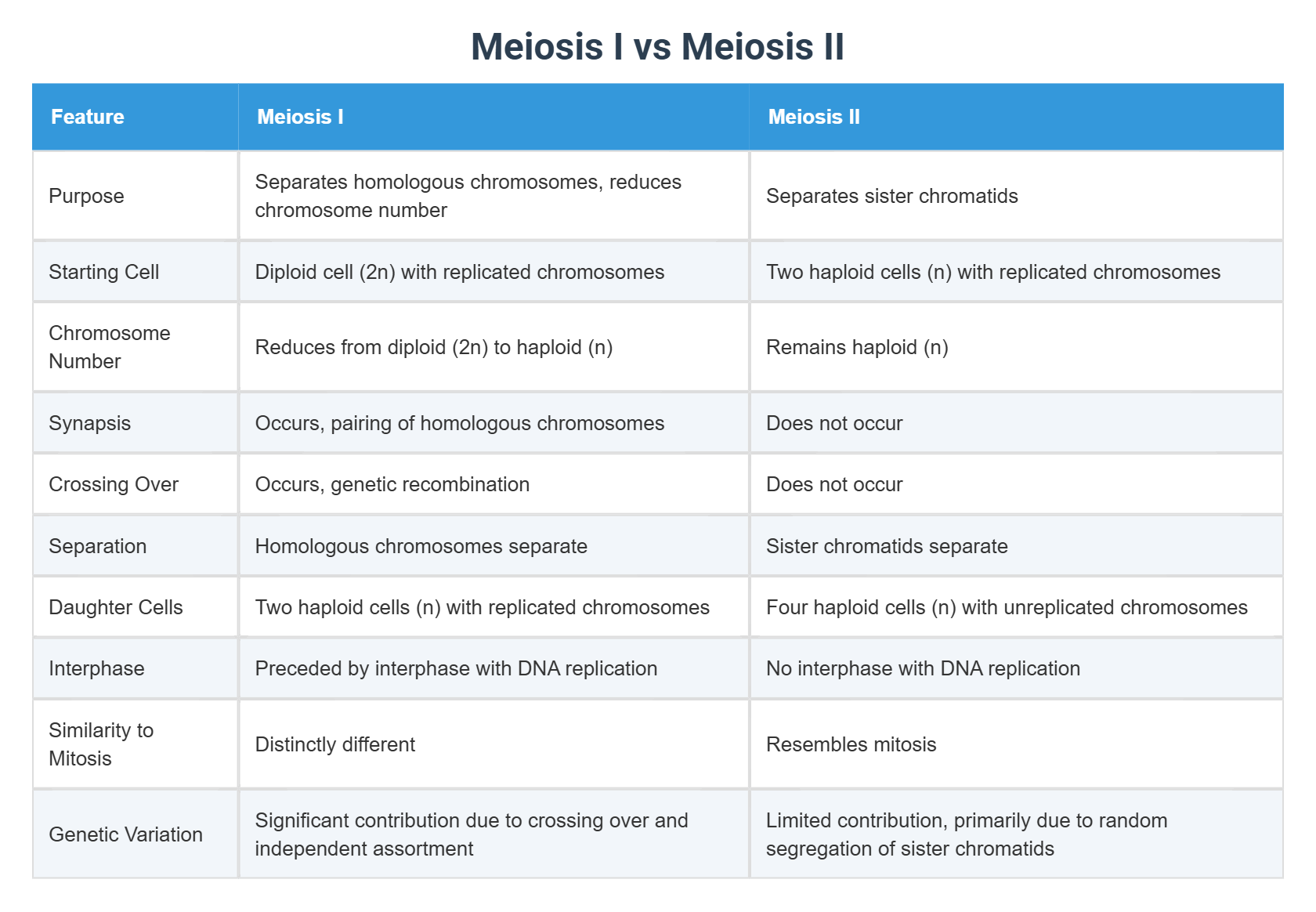 Meiosis I vs Meiosis II