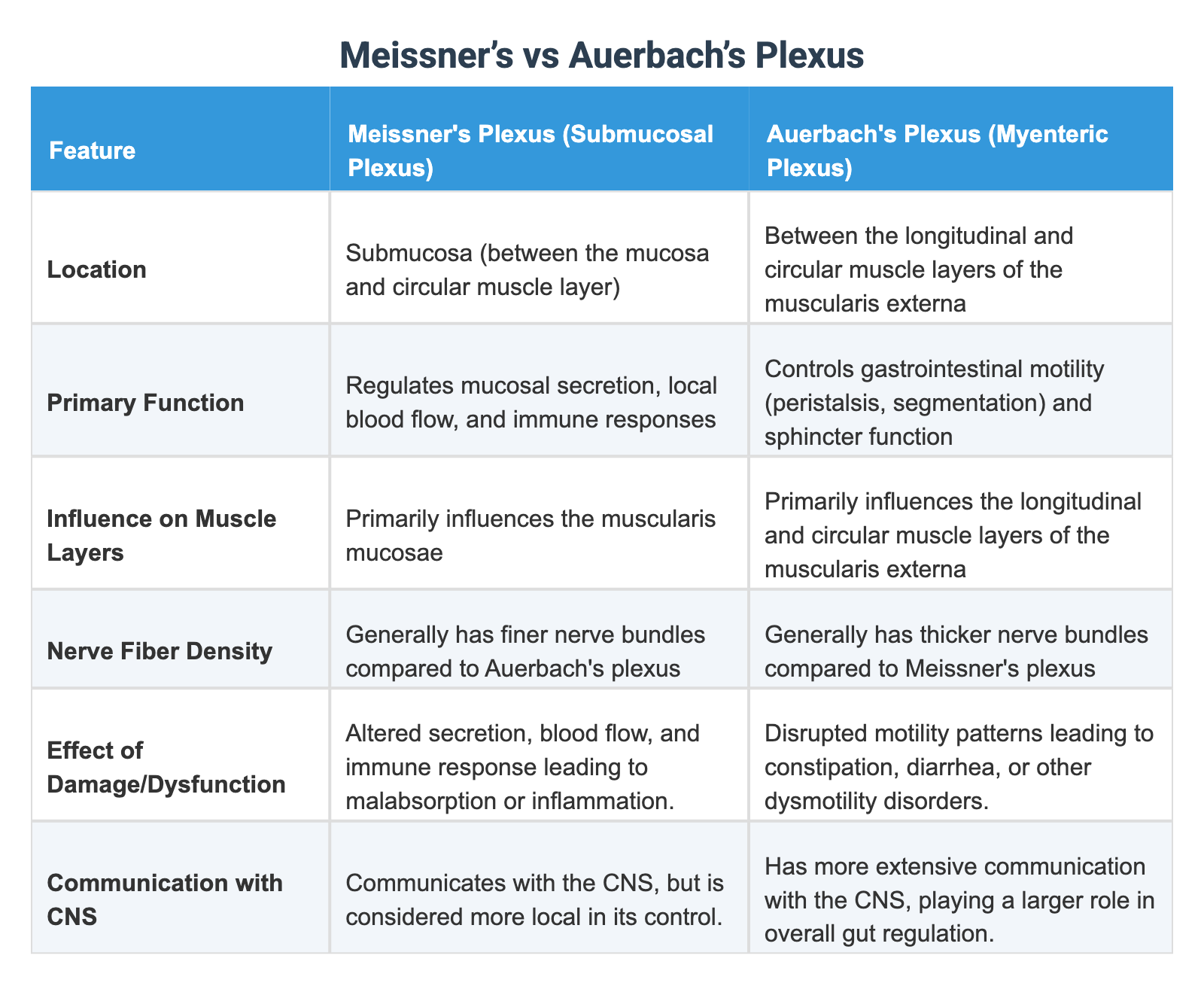 Meissner’s vs Auerbach’s Plexus