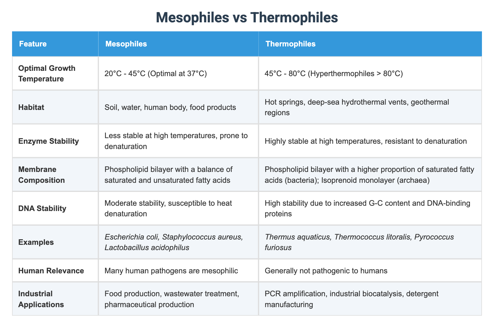 Mesophiles vs Thermophiles