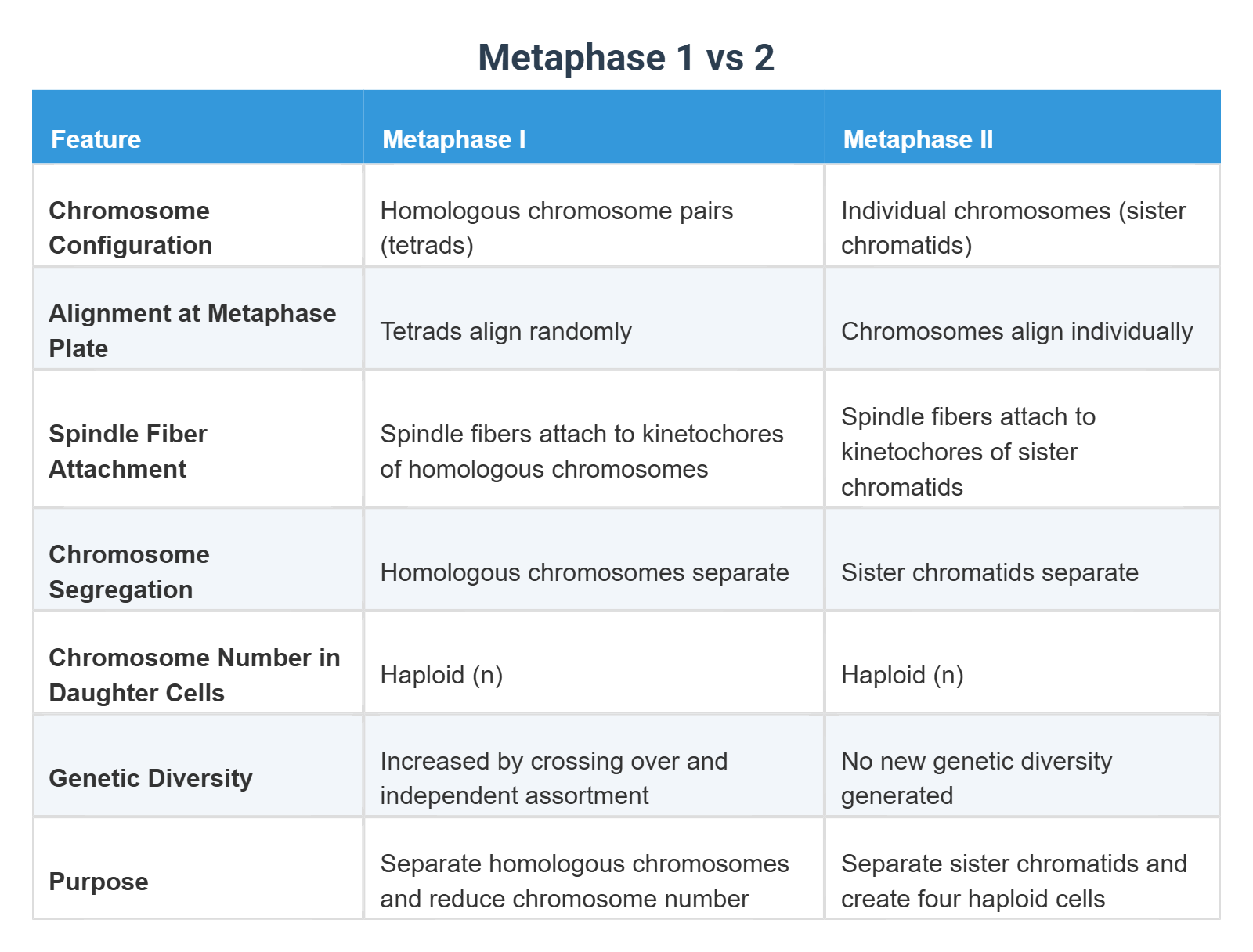 Metaphase 1 vs 2