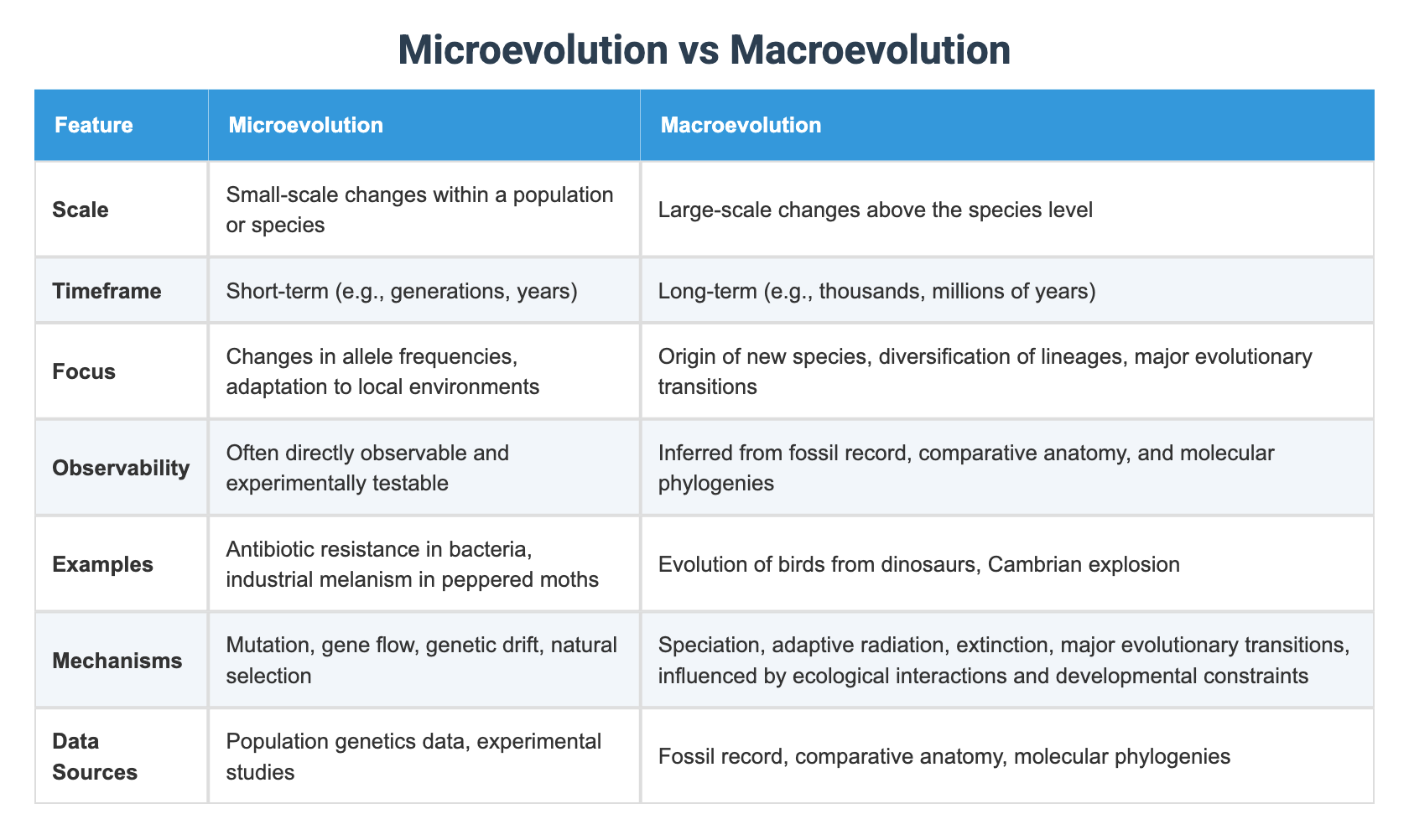 Microevolution Vs Macroevolution