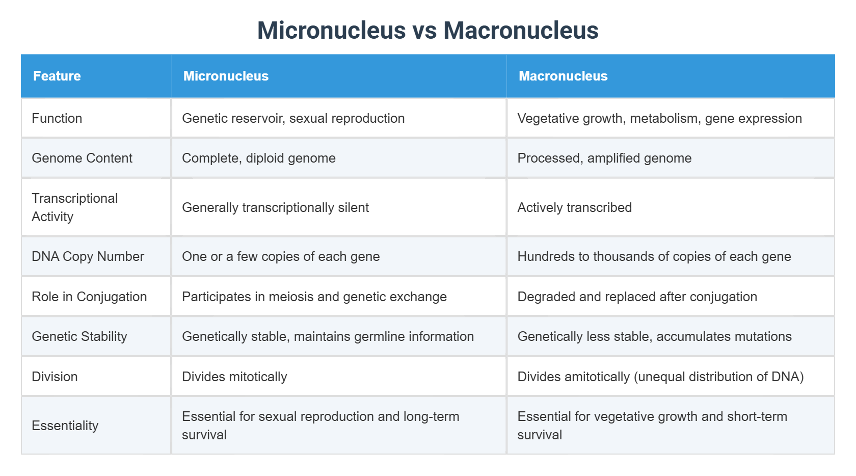 Micronucleus vs Macronucleus