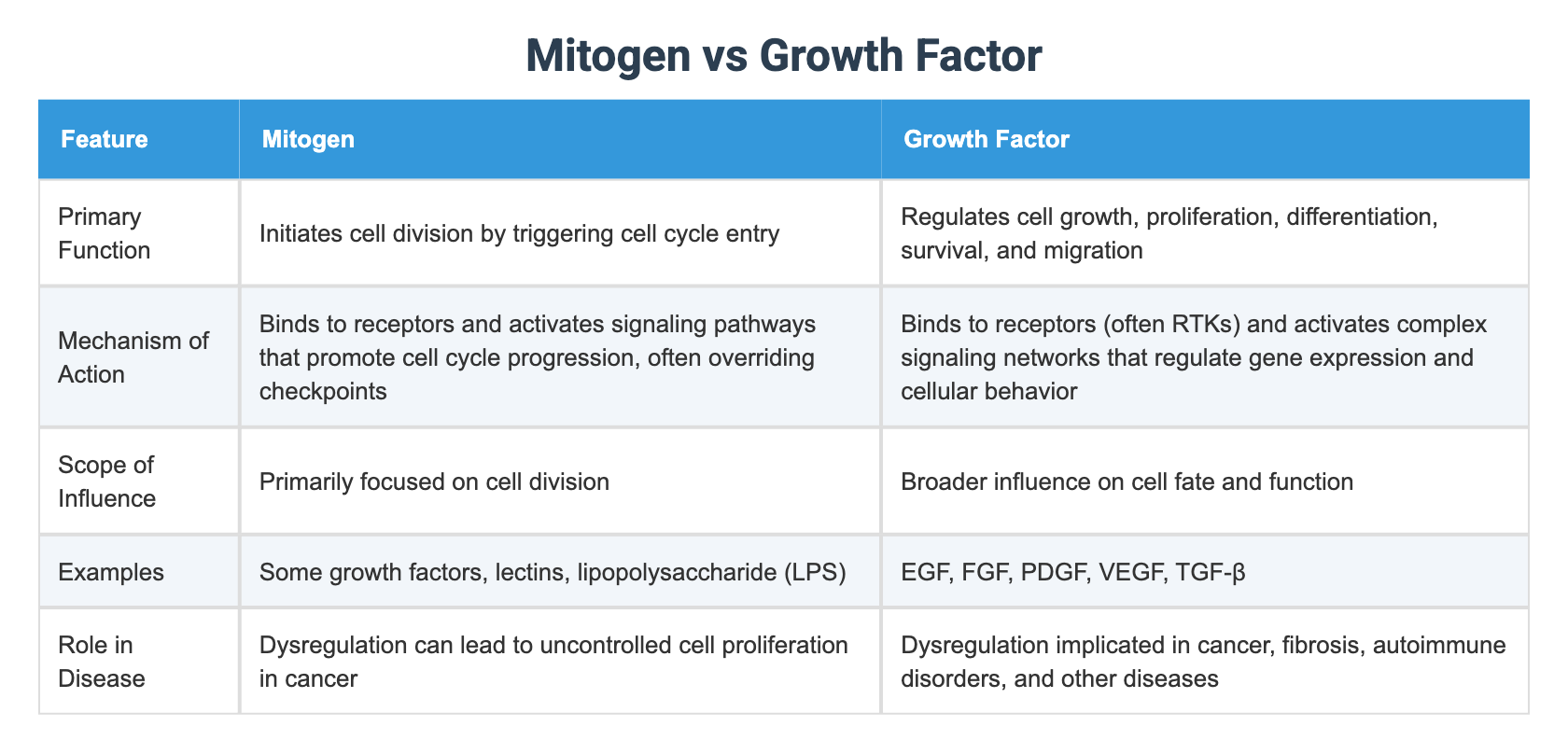 Mitogen vs Growth Factor