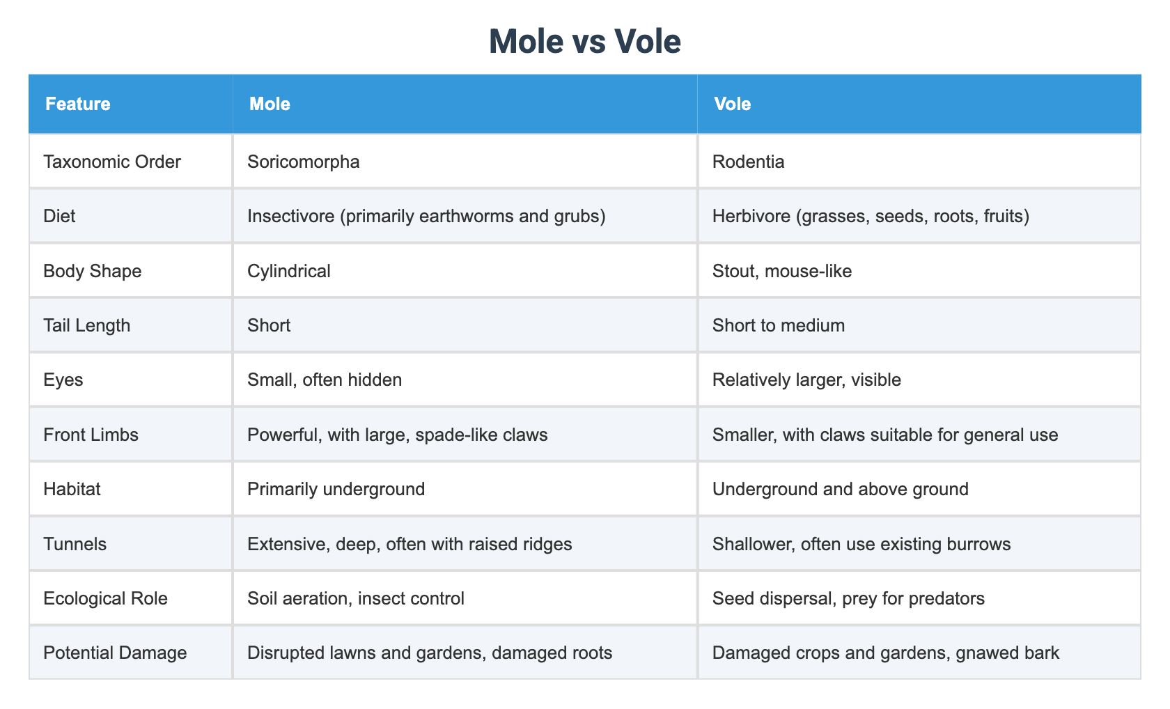 Mole vs Vole