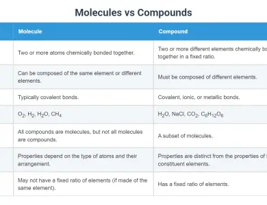 Polyatomic Ions vs Compounds