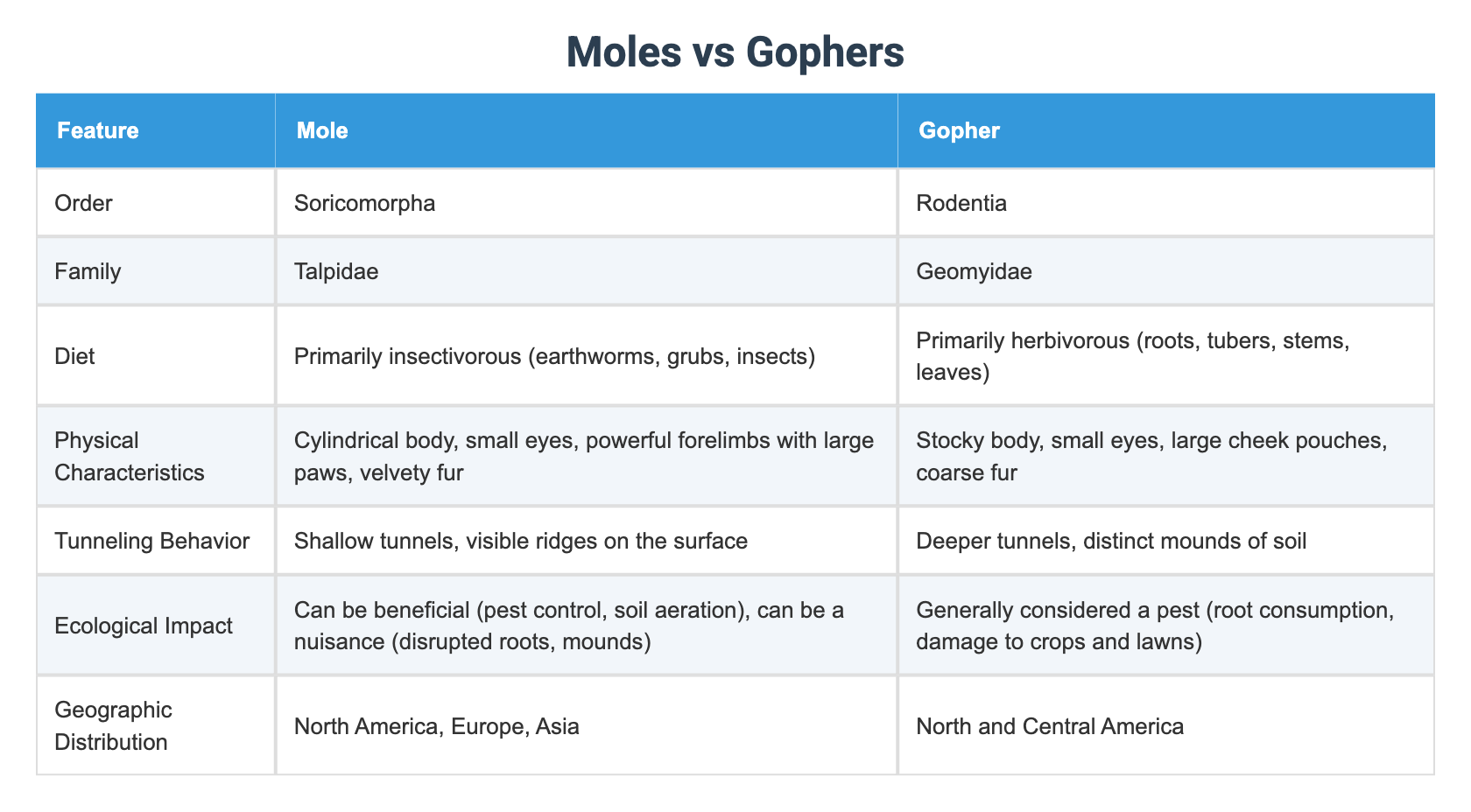 Moles vs Gophers
