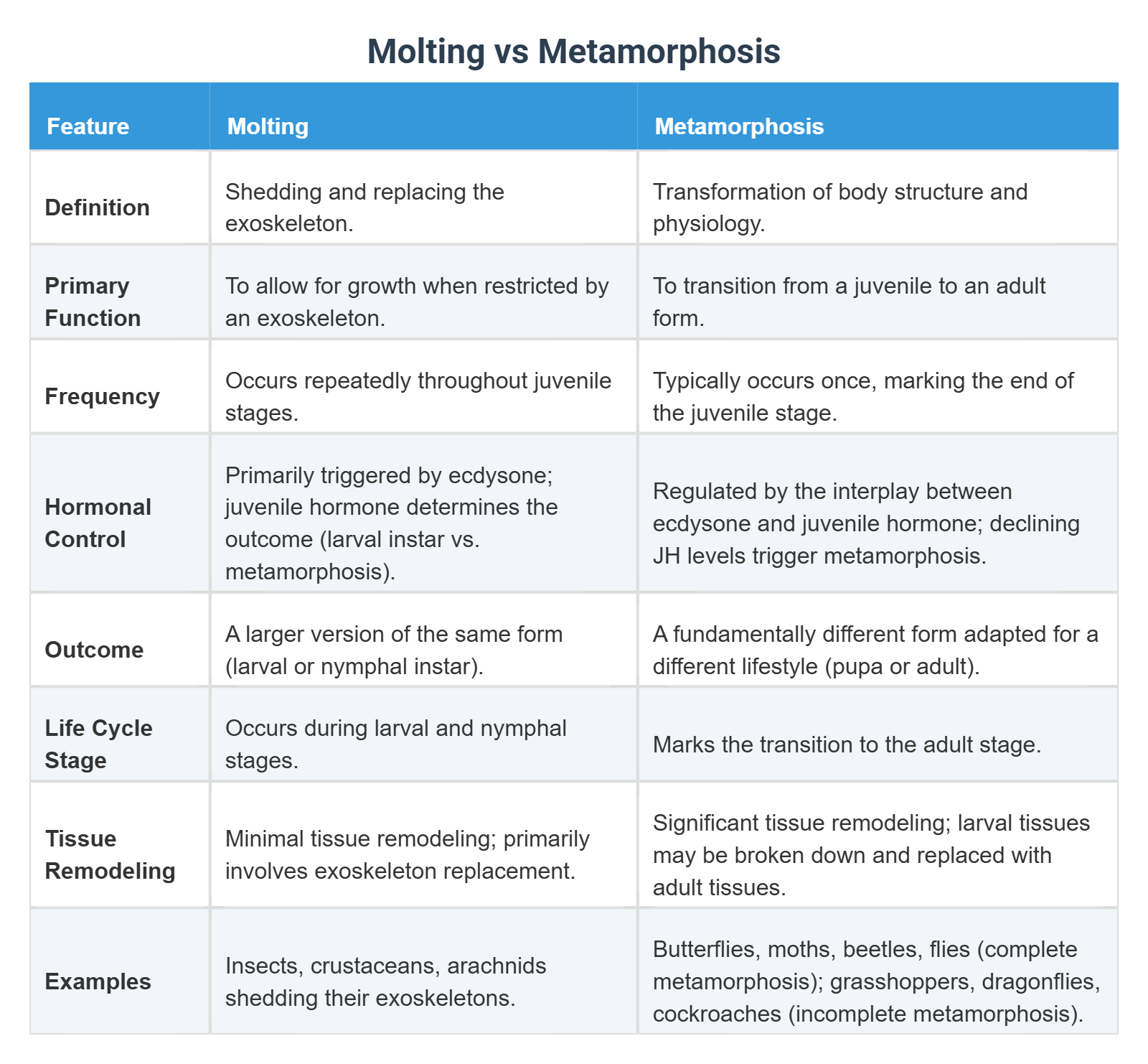 Molting vs Metamorphosis