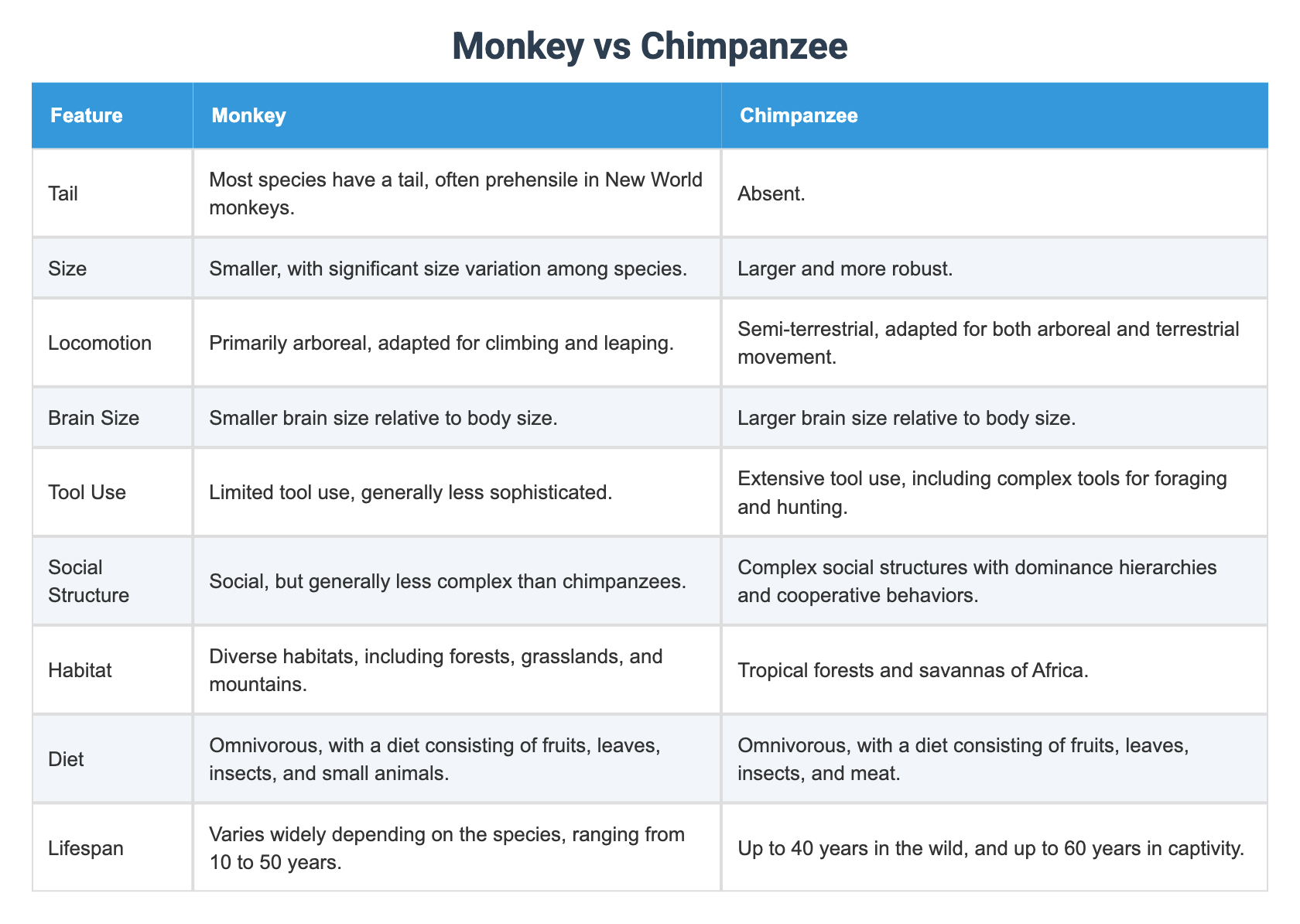 Monkey vs Chimpanzee