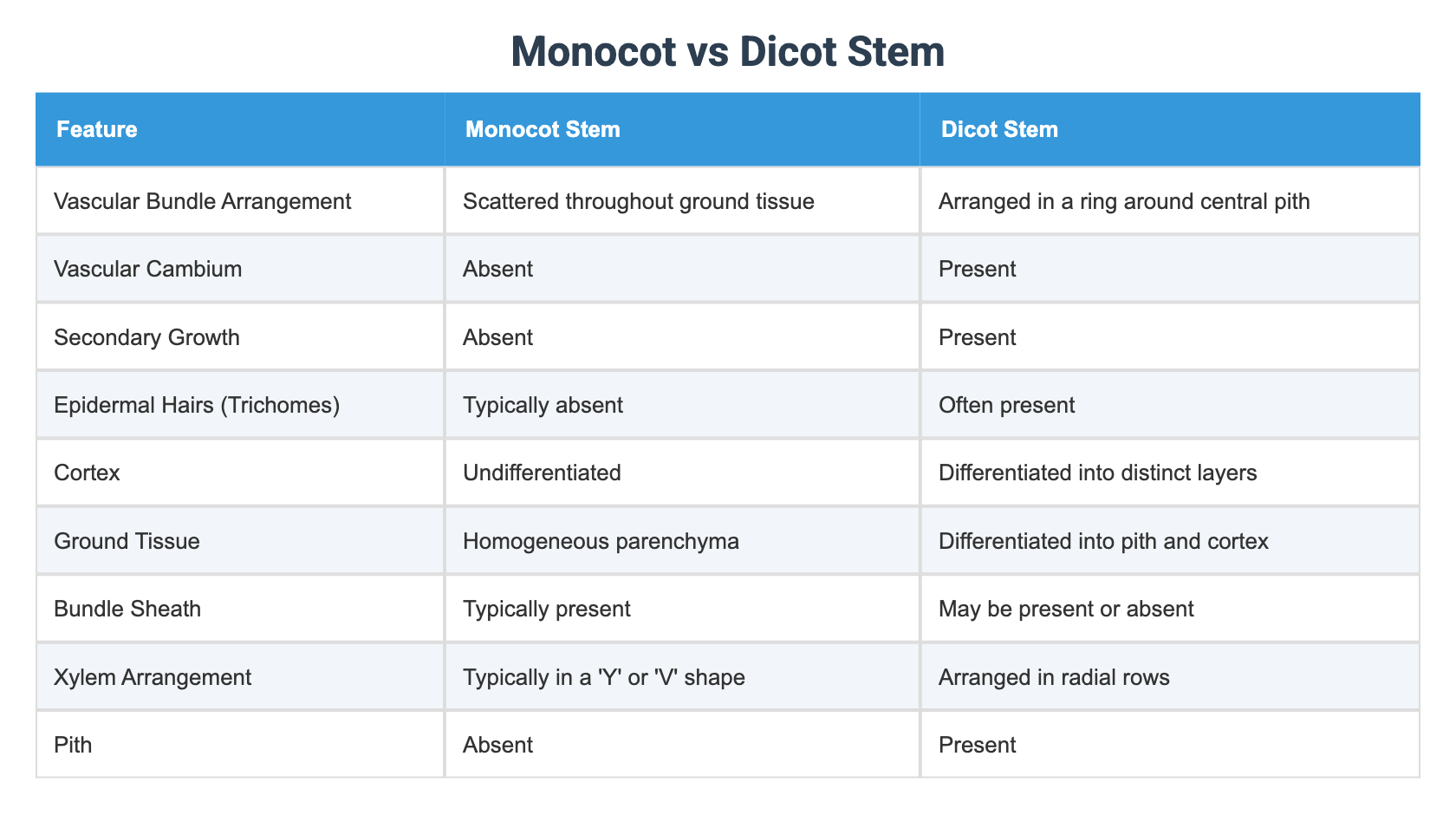 Monocot vs Dicot Stem