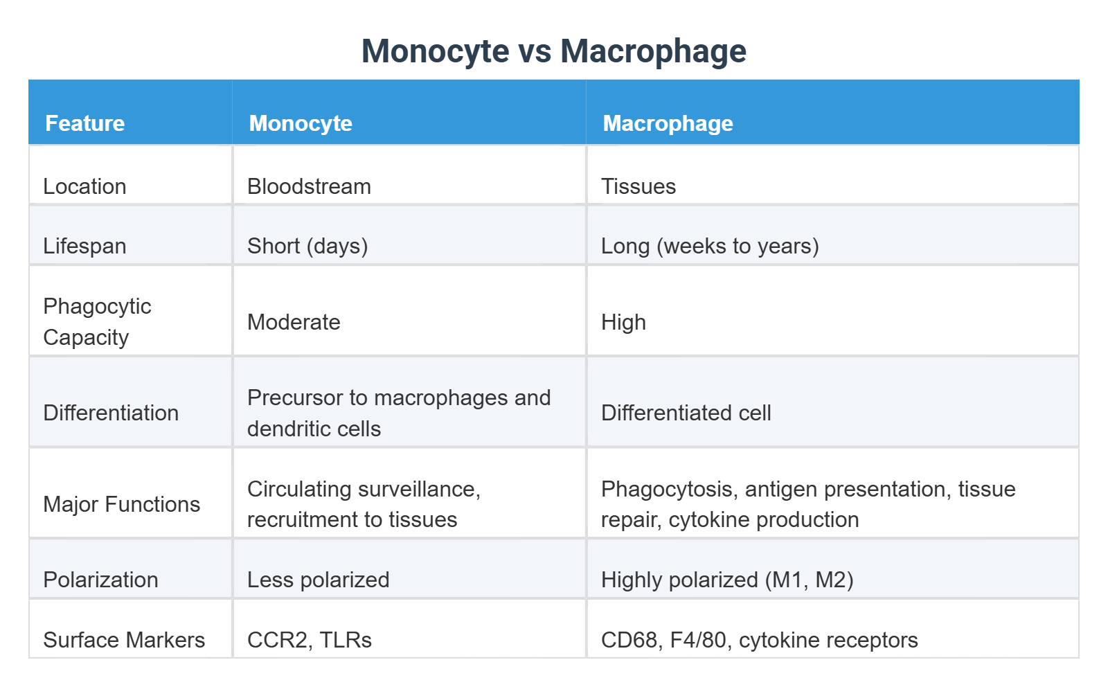 Monocyte vs Macrophage