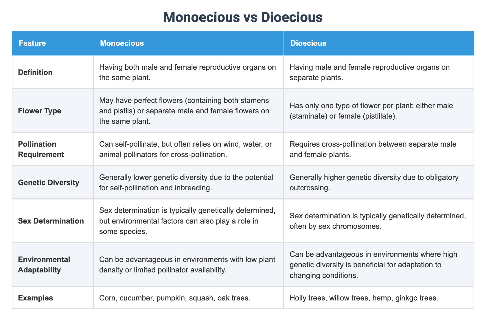 Monoecious vs Dioecious