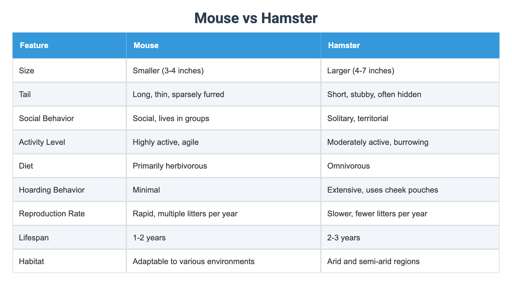 Mouse vs Hamster