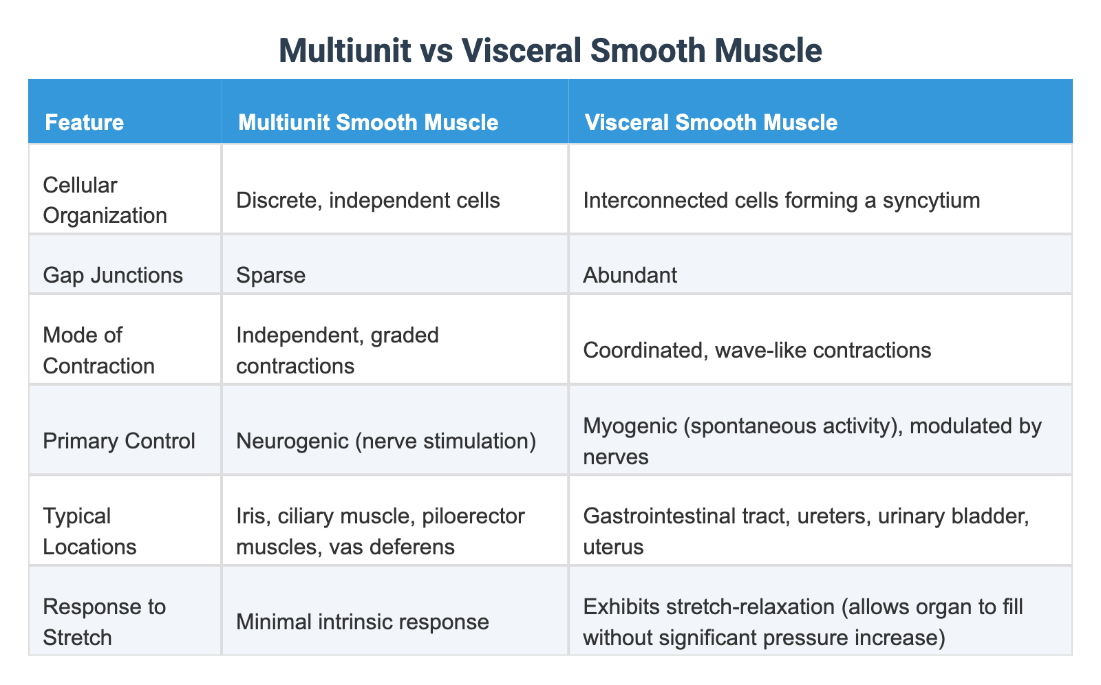 Multiunit vs Visceral Smooth Muscle