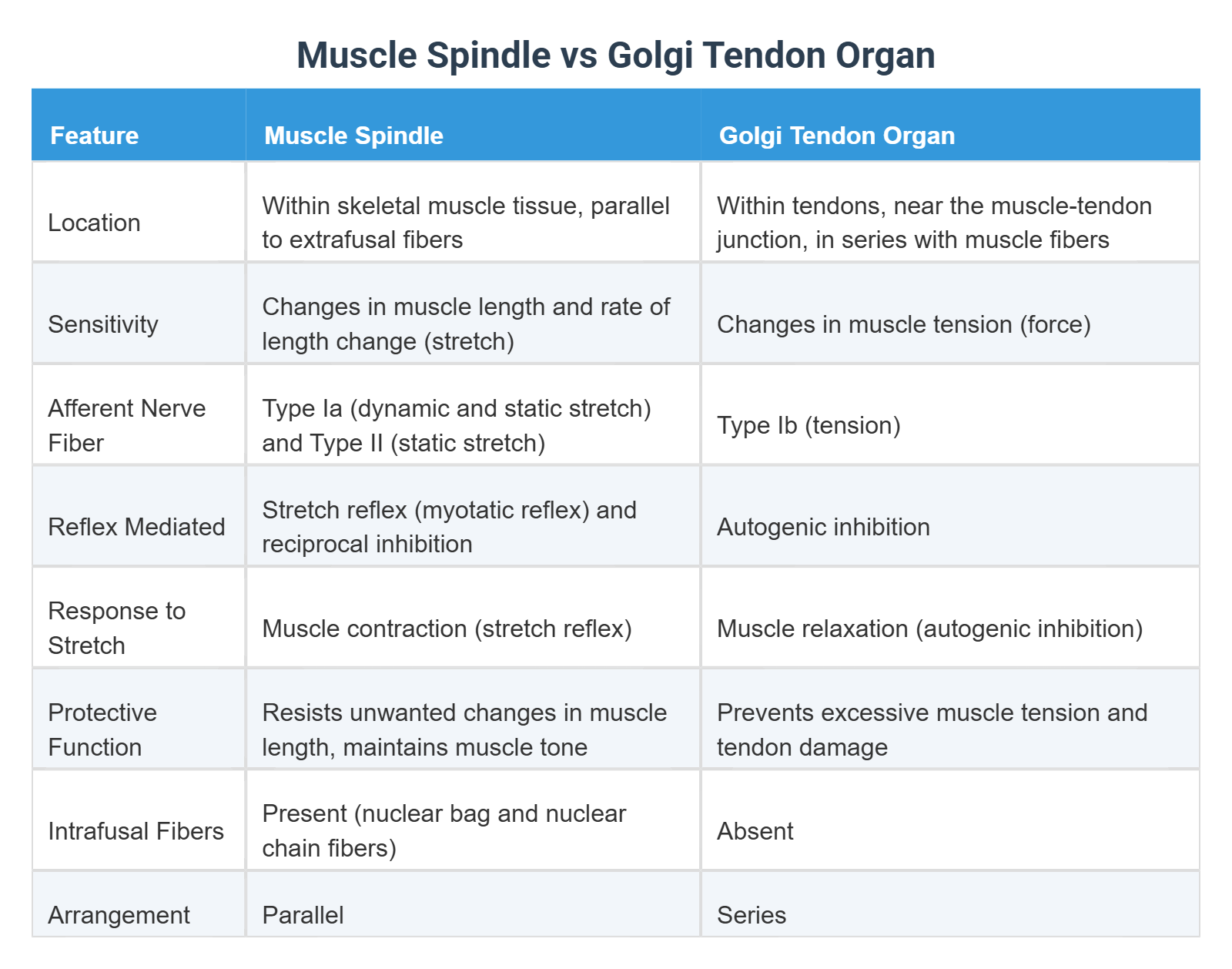 Muscle Spindle vs Golgi Tendon Organ