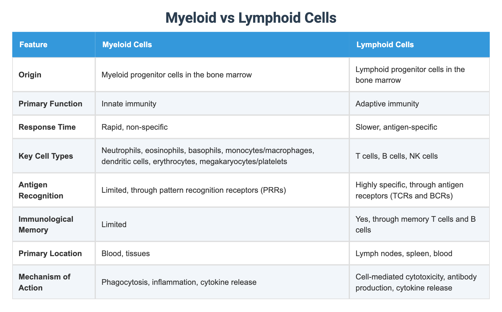 Myeloid vs Lymphoid Cells