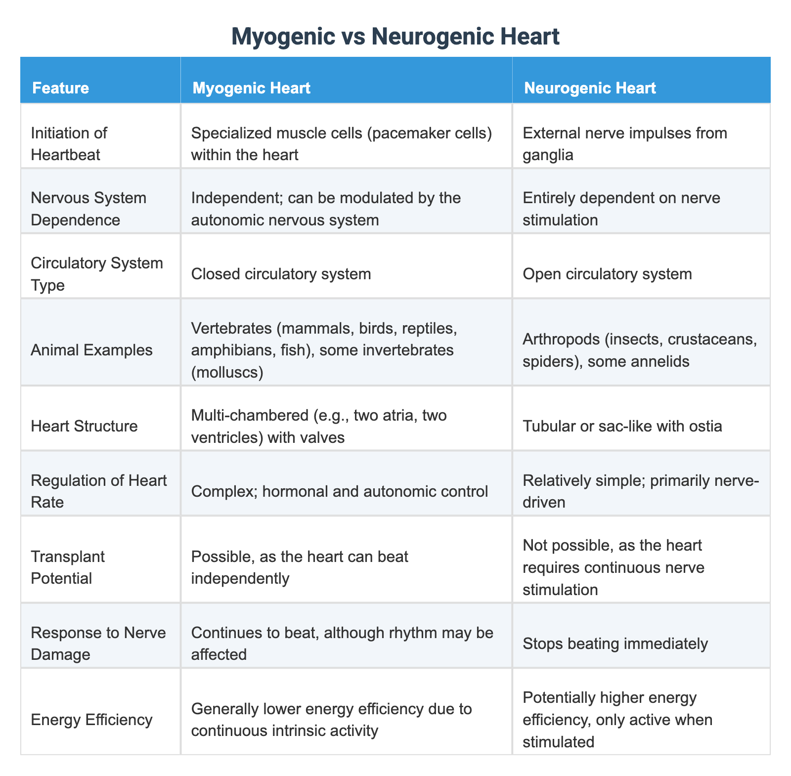 Myogenic vs Neurogenic Heart