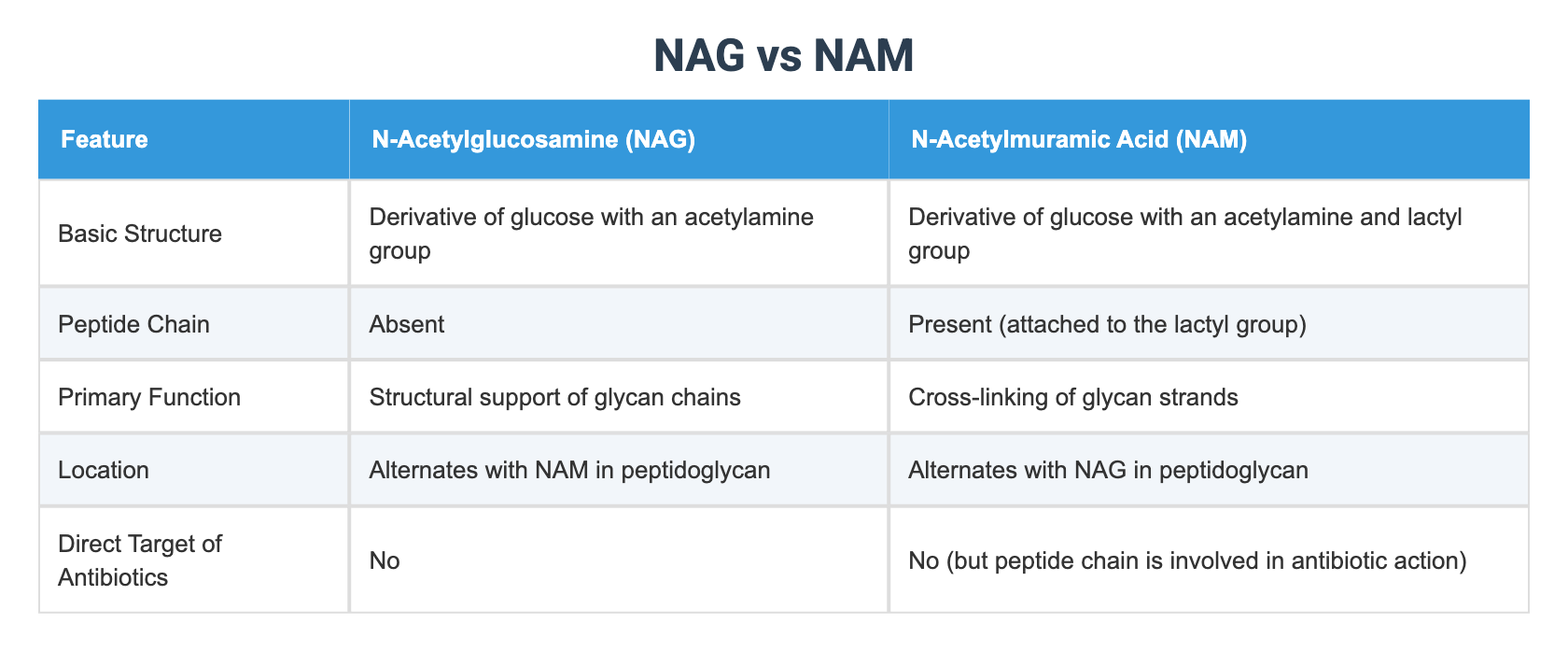 NAG vs NAM