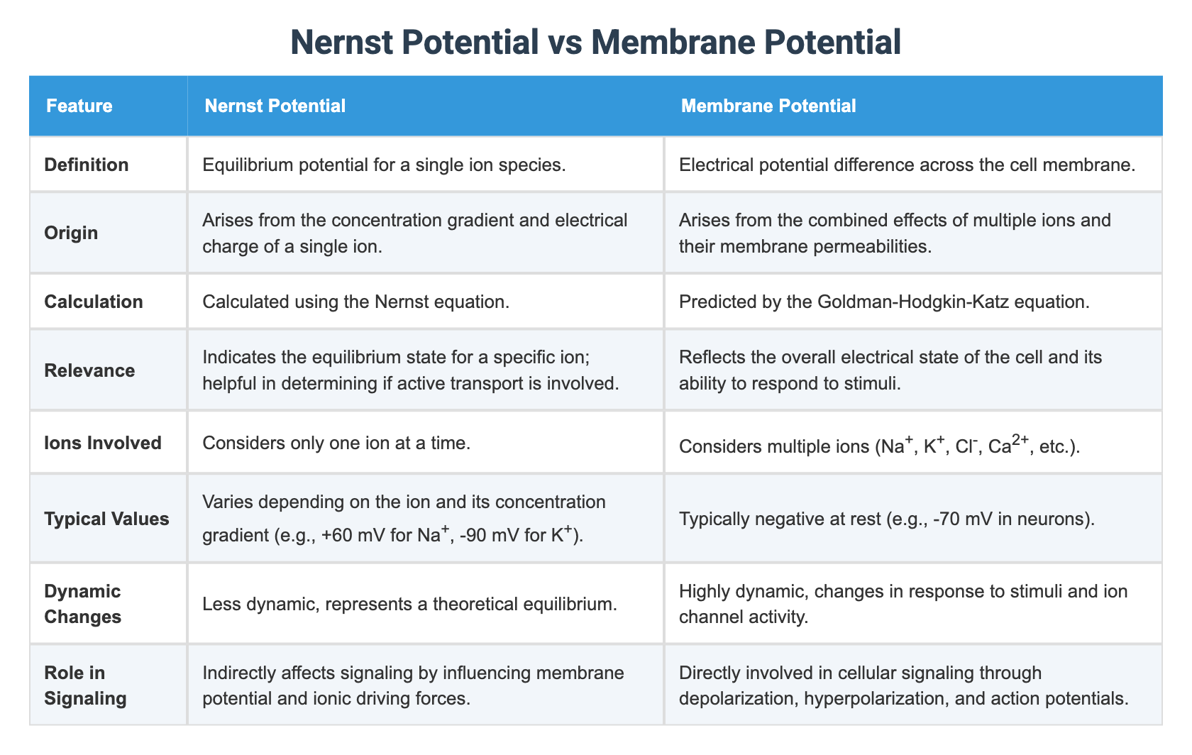 Nernst Potential vs Membrane Potential