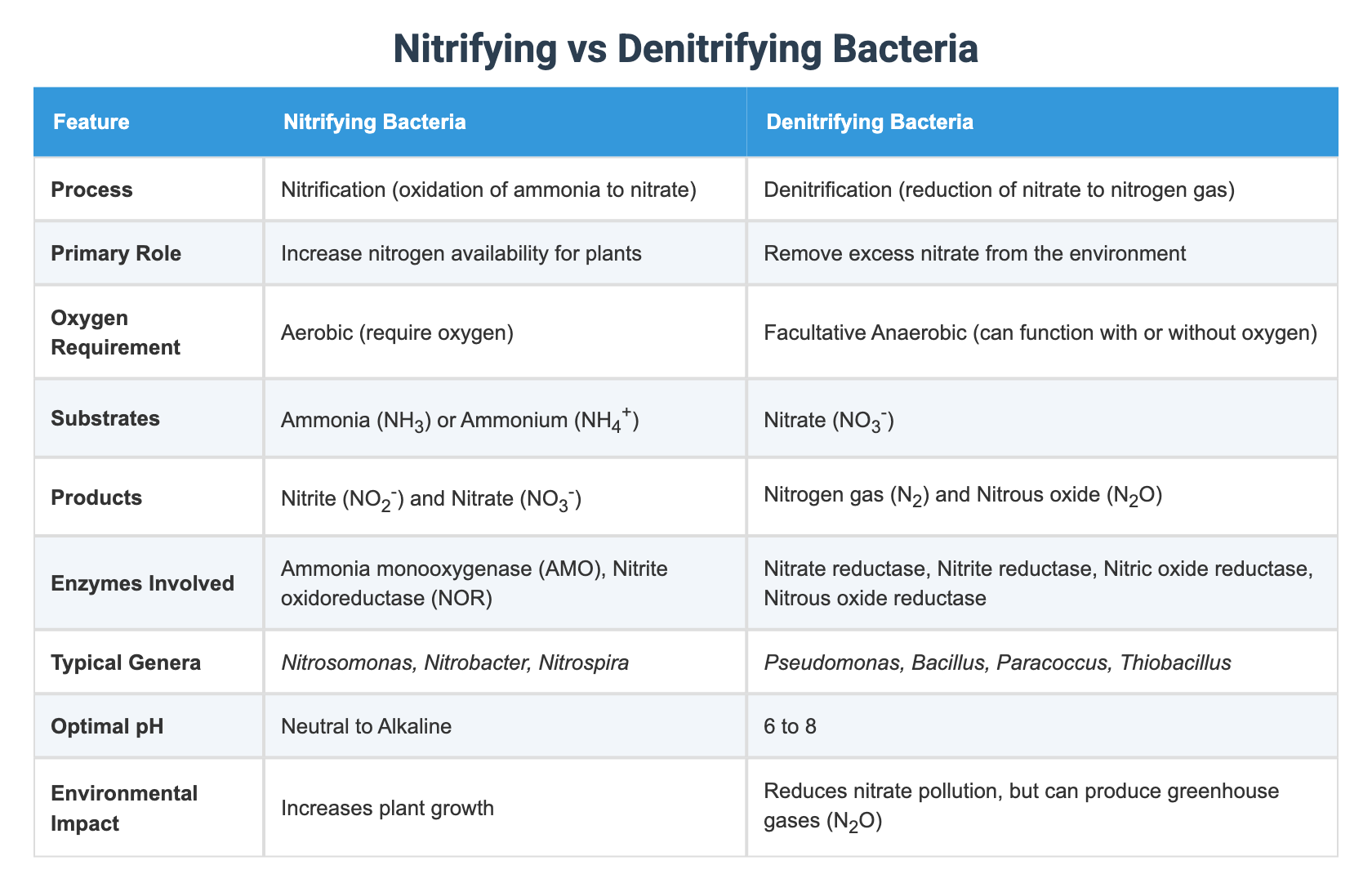 Nitrifying vs Denitrifying Bacteria