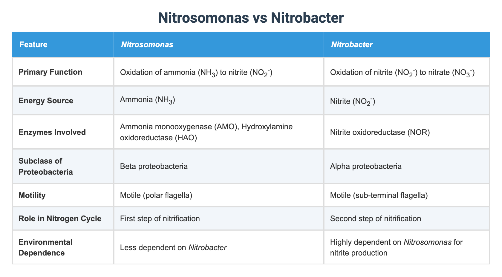 Nitrosomonas vs Nitrobacter