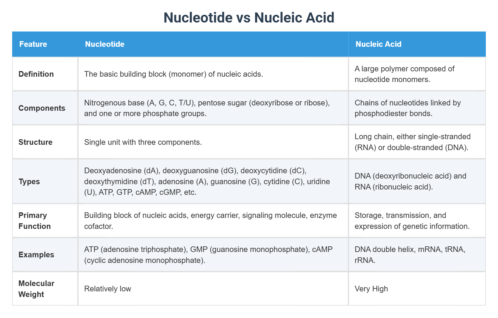 Nucleotide vs Nucleic Acid